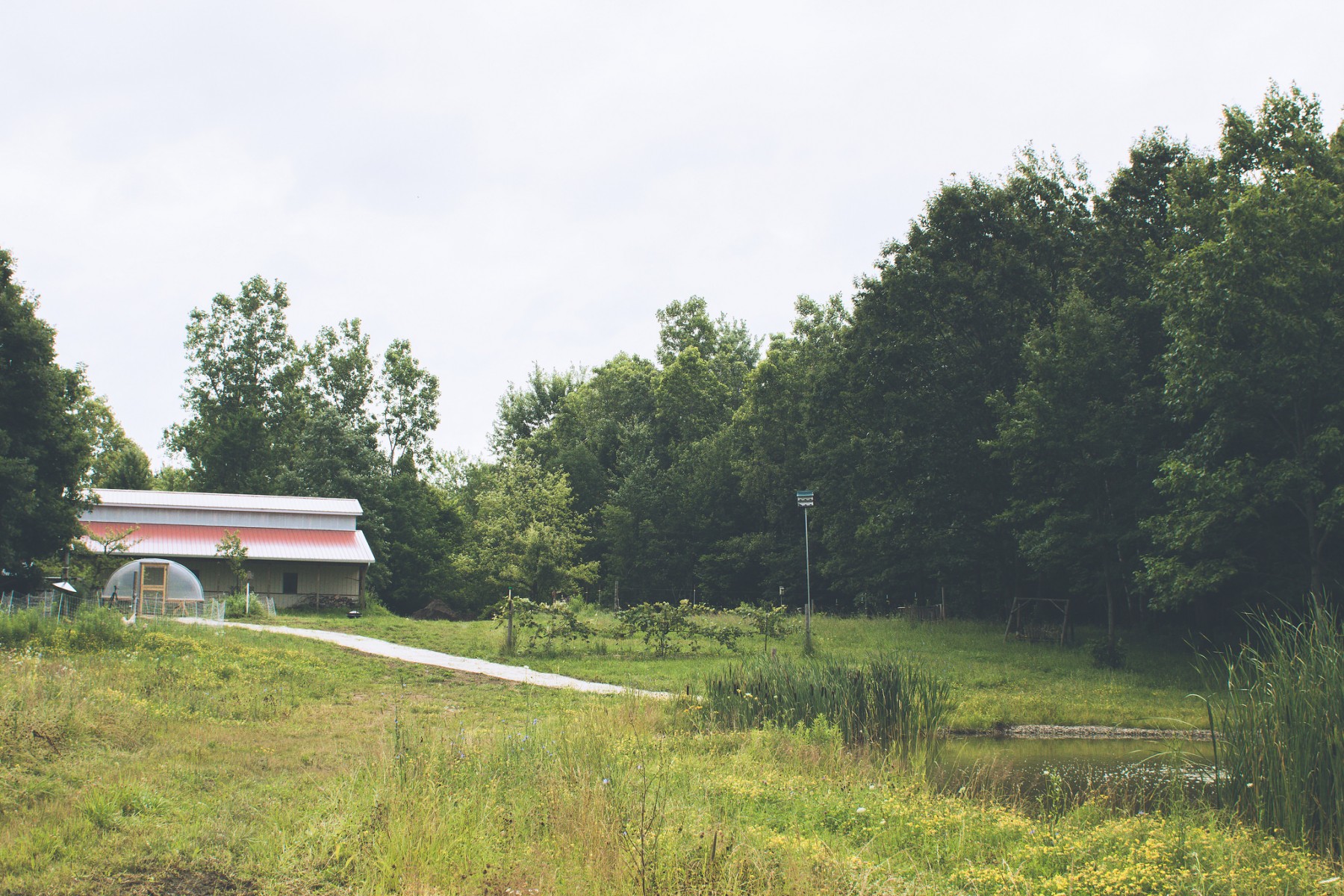 Membership Spotlight: Dyer Family Organic Farm - Oregon Tilth