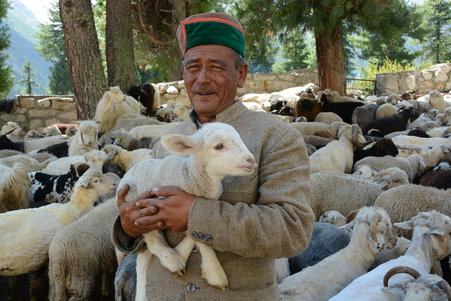 Getting Fleeced - Oregon Tilth